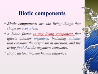 Marine Ecosystem | PPT