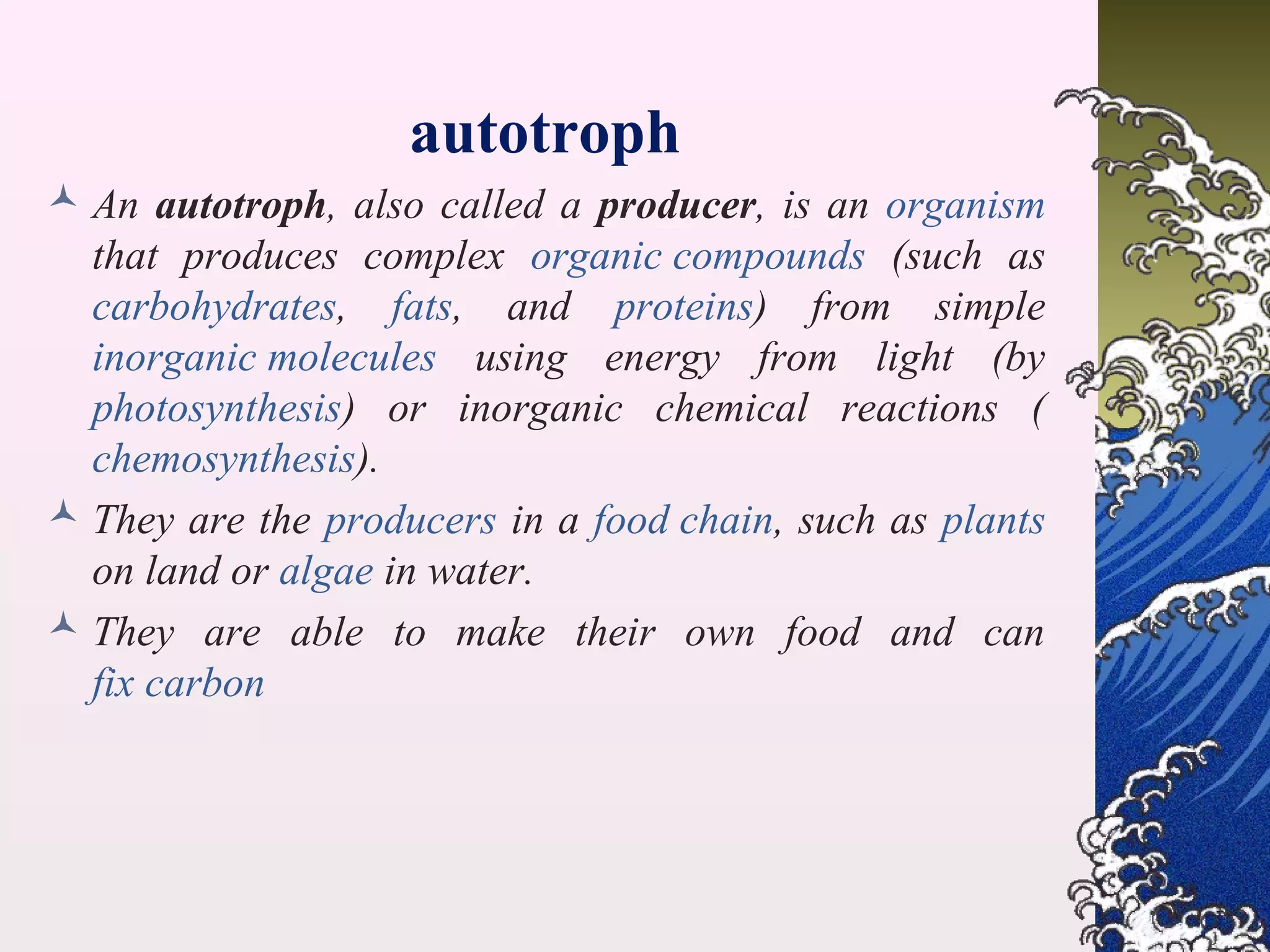 marine ecosystem | PPT