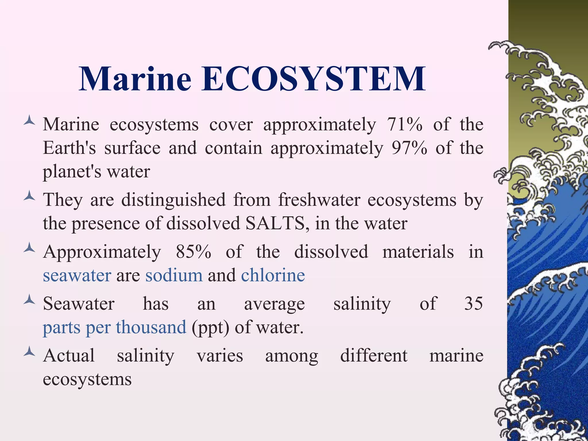 marine ecosystem | PPT