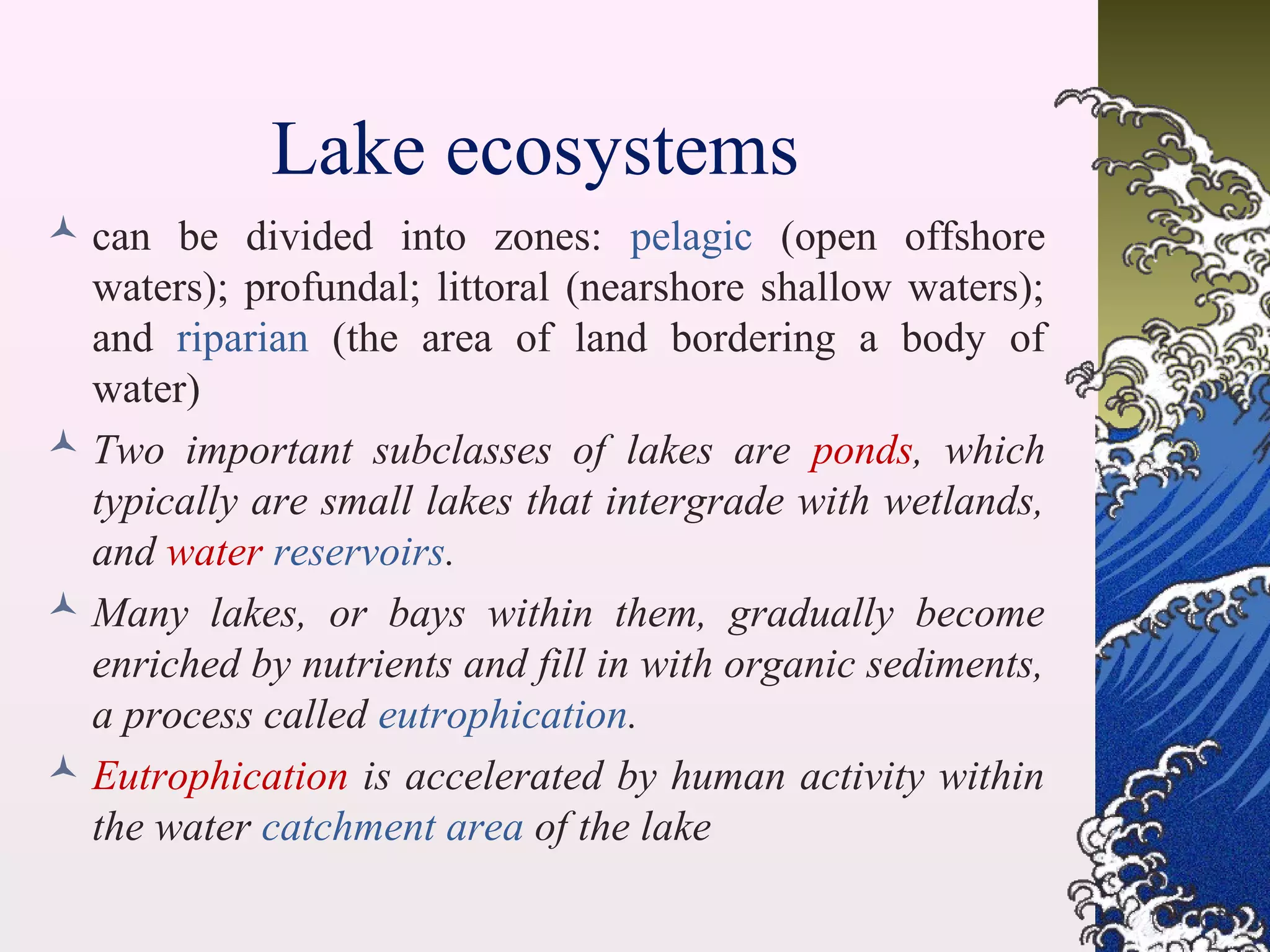 marine ecosystem | PPT