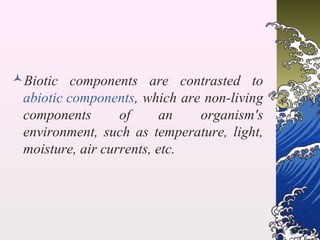 marine ecosystem | PPT