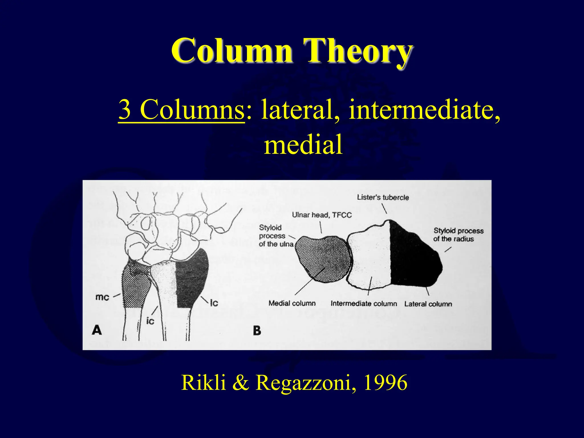 Distal Radius Fractures(DER) colless.pdf