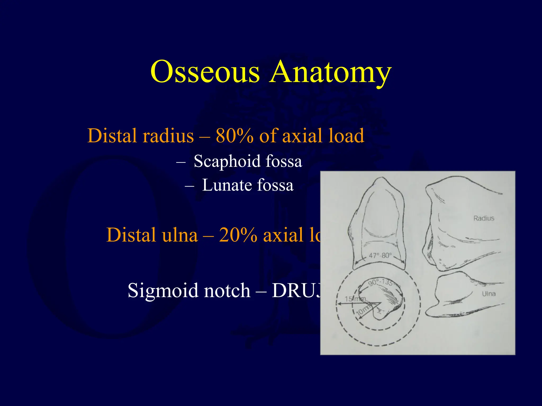 Distal Radius Fractures(DER) colless.pdf