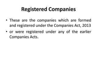 CF_Unit 1 (1.1) CA2013-Types of Companies | PPTX