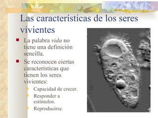 Que Es La Vida | PPT