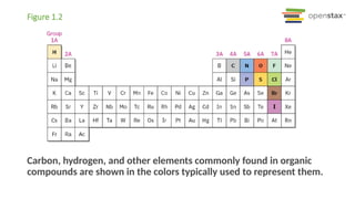 Organic Chemistry Introduction Background | PPTX