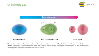 Organic Chemistry Acids and Bases Introduction | PPTX