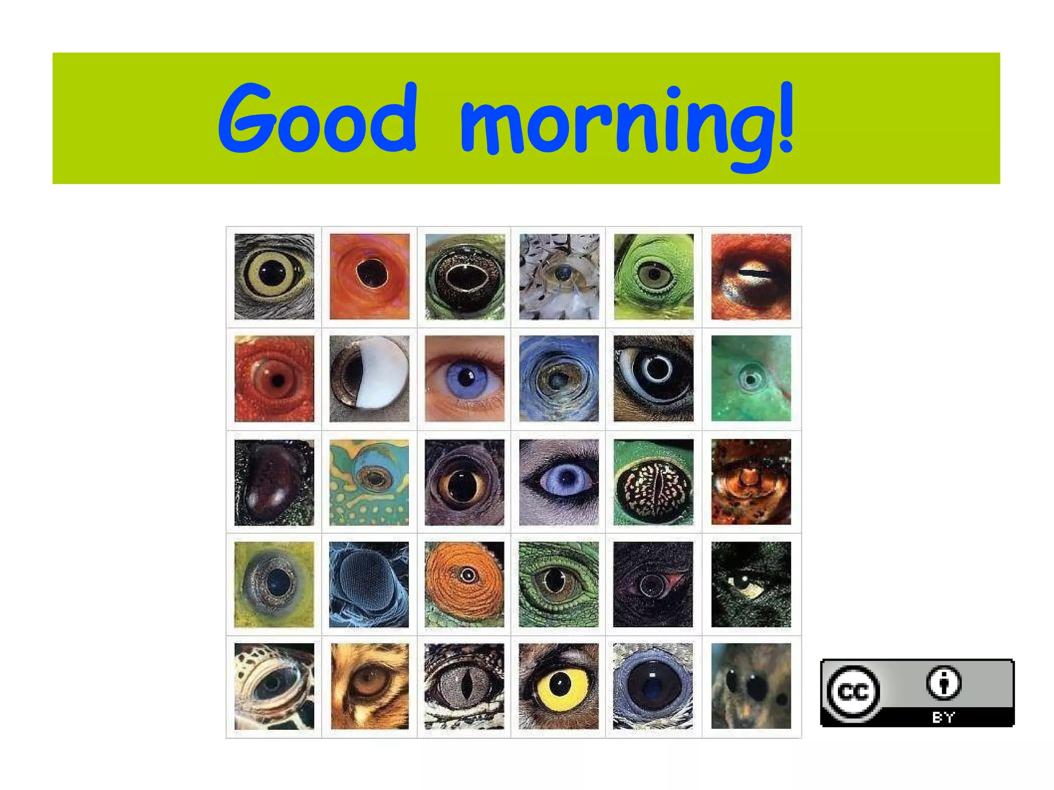 U1 hello, how are you ppt | PPT