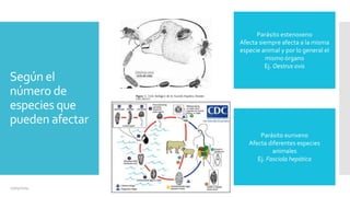 U1 Introducción a la parasitología veterinaria u1 2024.pptx