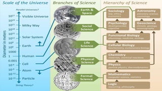 Unit 1, Lesson 1.2 - Branches of Science | PPTX