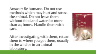 Unit 1, Lesson 1.6 - Safety in the Laboratory | PPTX
