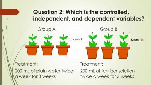 Project Independent And Dependent Variables