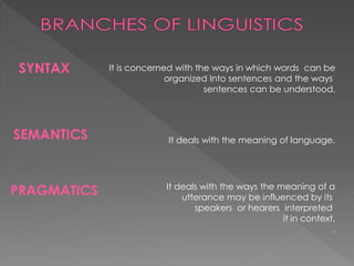 Linguistics | PDF