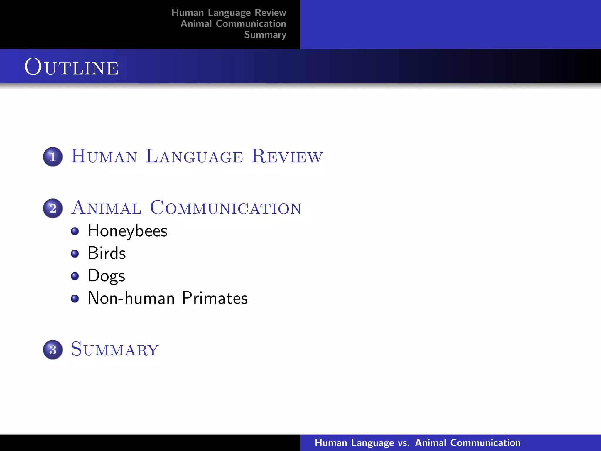 Human Language vs Animal | PPT