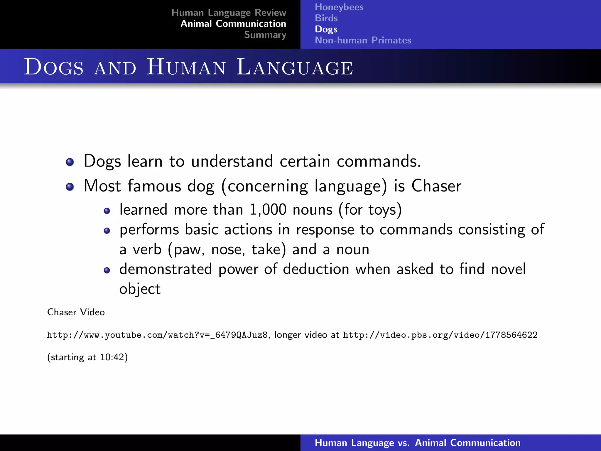 Human Language vs Animal | PPT