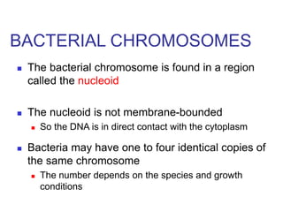 ORGANIZATION OF GENETIC MATERIAL | PPT