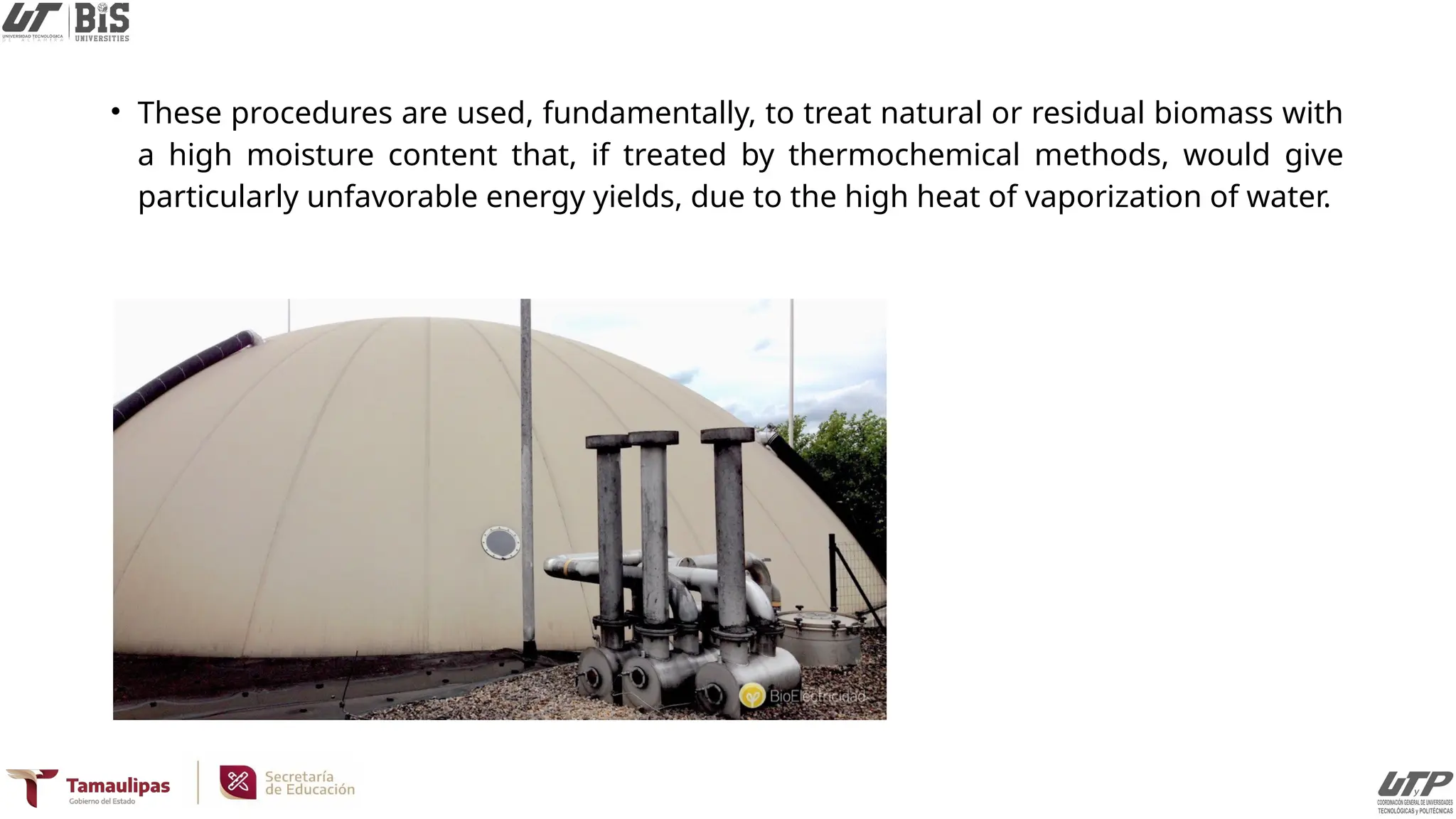 U1 Thermochemical & Biochemical processes with biomass.pptx