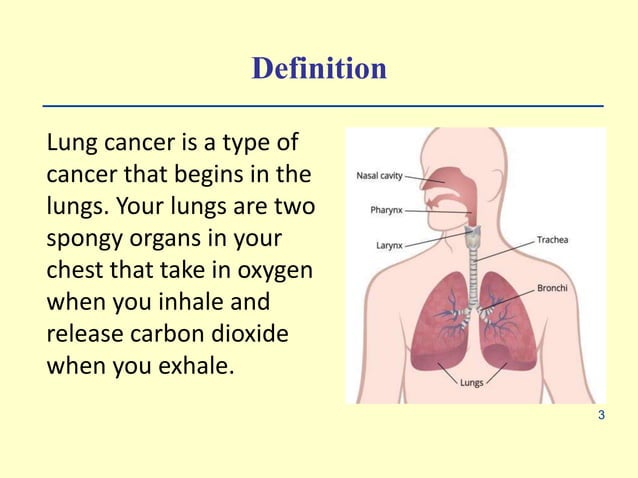 Lung cancer - definition, causes, symptoms, diagnosis, treatment ...