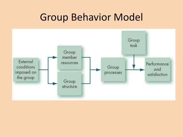 Group Behavior – Meaning, Types of Groups, Group Process, Group ...