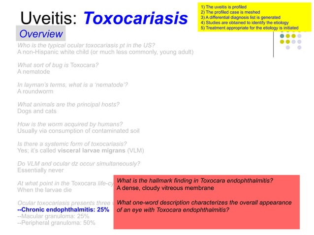 uvietis classification presentation.pptx | Eye and Vision Conditions ...