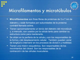 estructura y funcioin celular | PPT