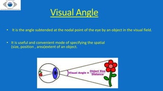 visual_acuity_(1) Presentations DHB.pptx