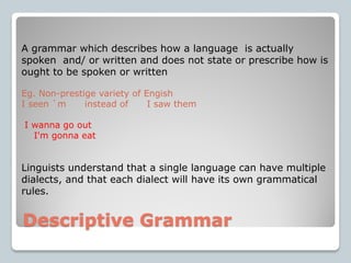 Grammar | PDF | Internet for Beginners | Internet