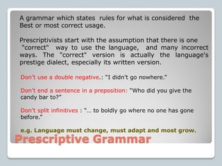 Grammar | PDF | Internet for Beginners | Internet