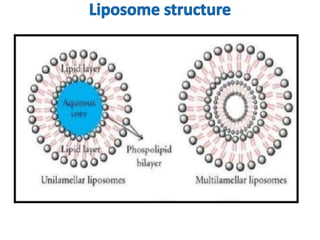 Liposomes as drug delivery carriers and drug targeting | PDF