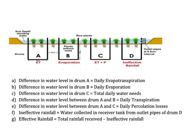 effective rain fall | PPTX | Agriculture | Industries