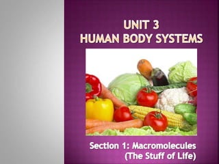 U3.1 macromolecules ppt | PPTX