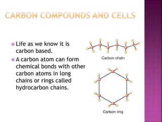 U3.1 macromolecules ppt | PPTX