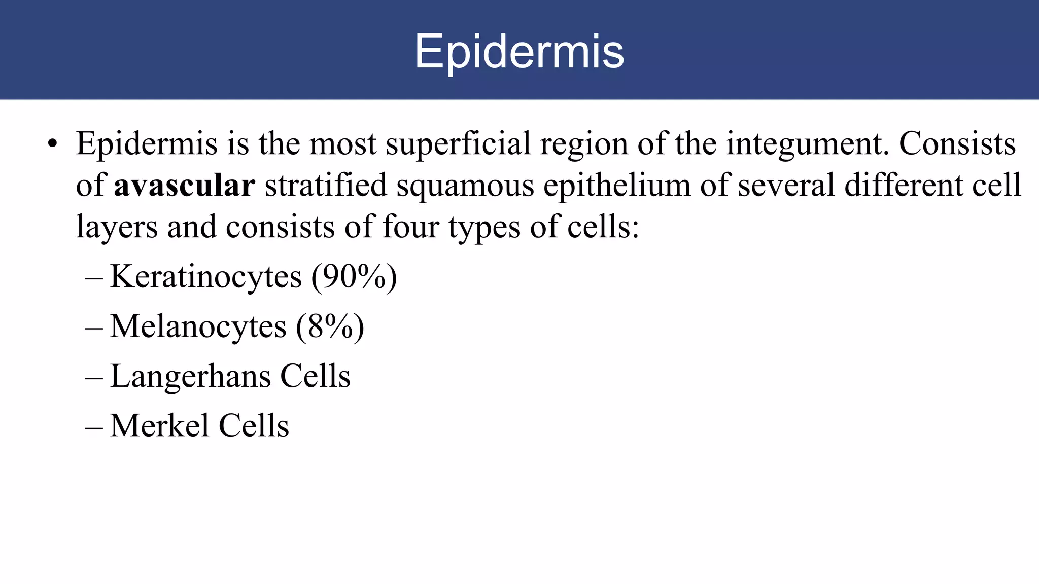U3.2 Integumentary System | PPTX