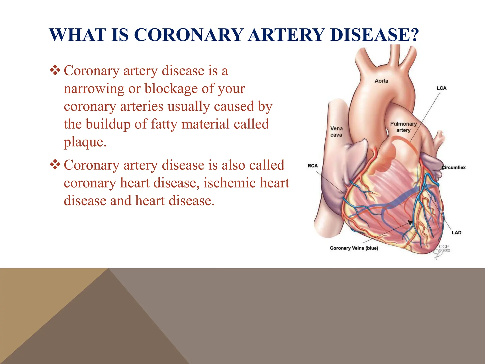 Coronary-artery-disease-definition, symptoms, causes, diagnosis and ...