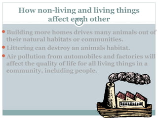 U3.2, ecosystems | PPT