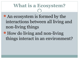U3.2, ecosystems | PPT