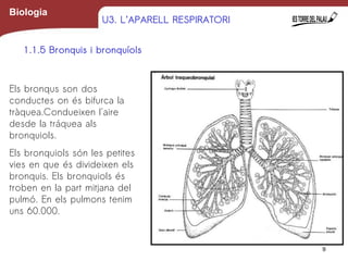 U3 ap respiratori alumnes-tp | PDF