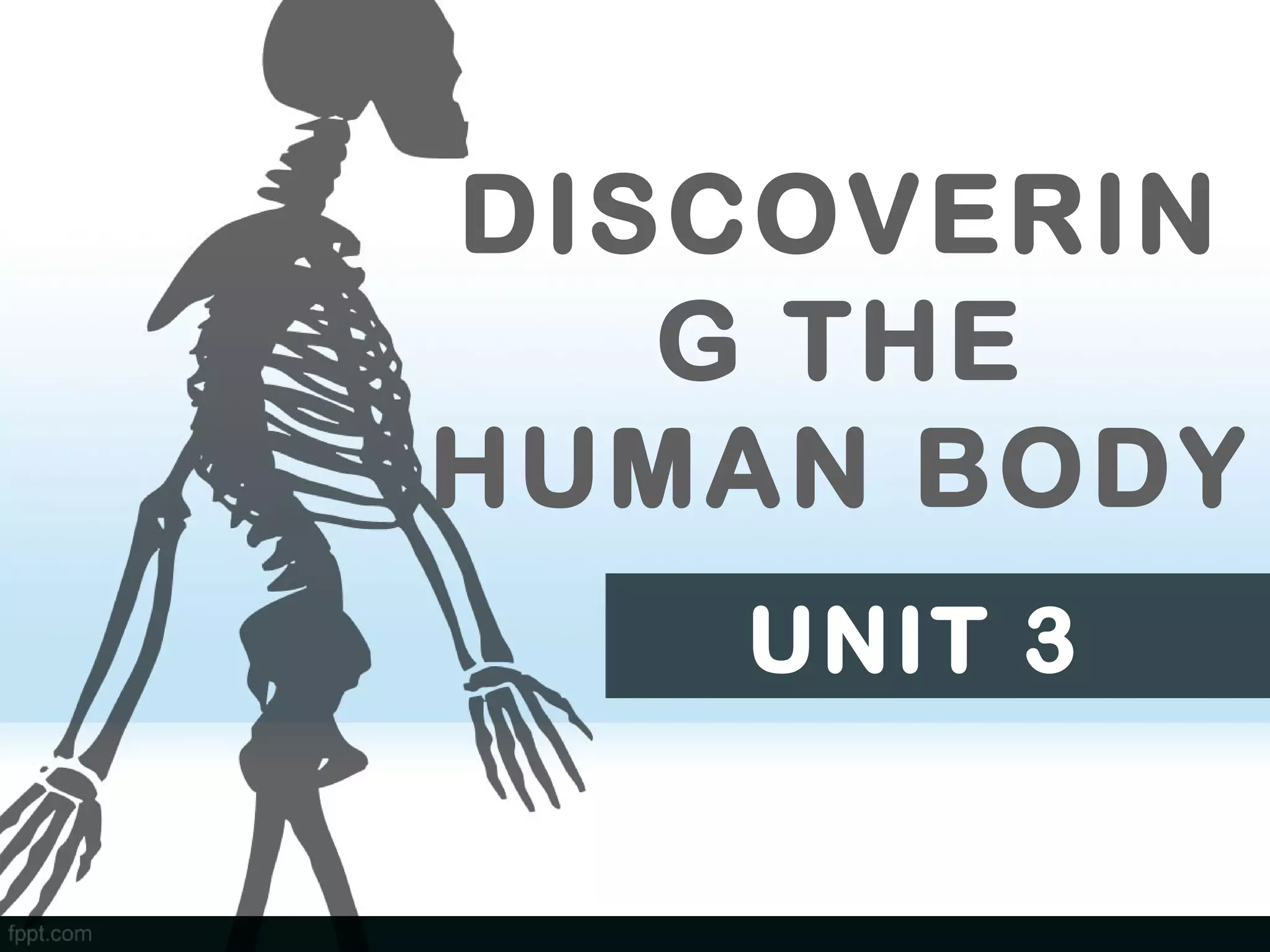 Discovering the human body unit | PPT | Lung and Respiratory Health ...