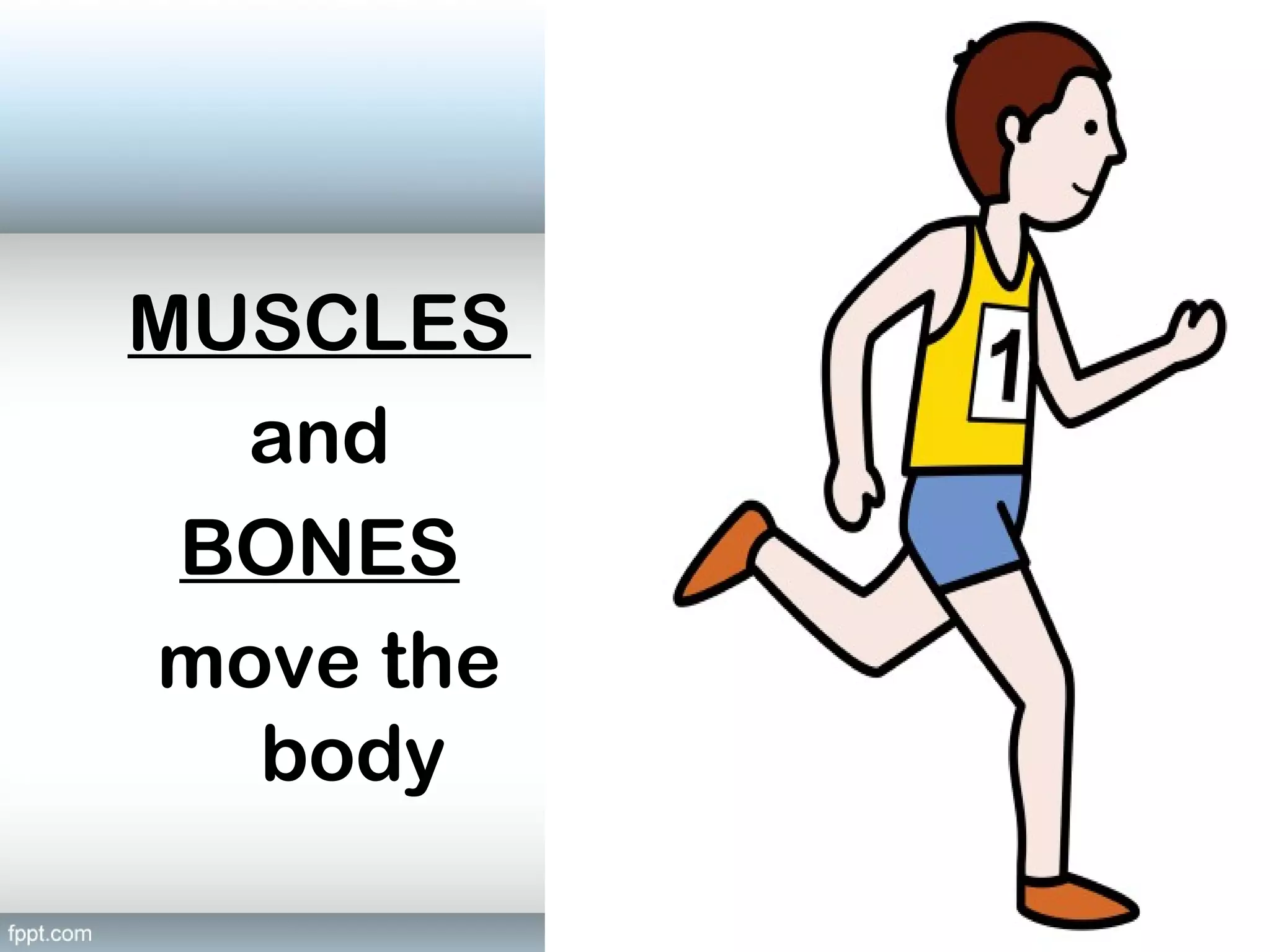 Discovering the human body unit | PPT | Lung and Respiratory Health ...