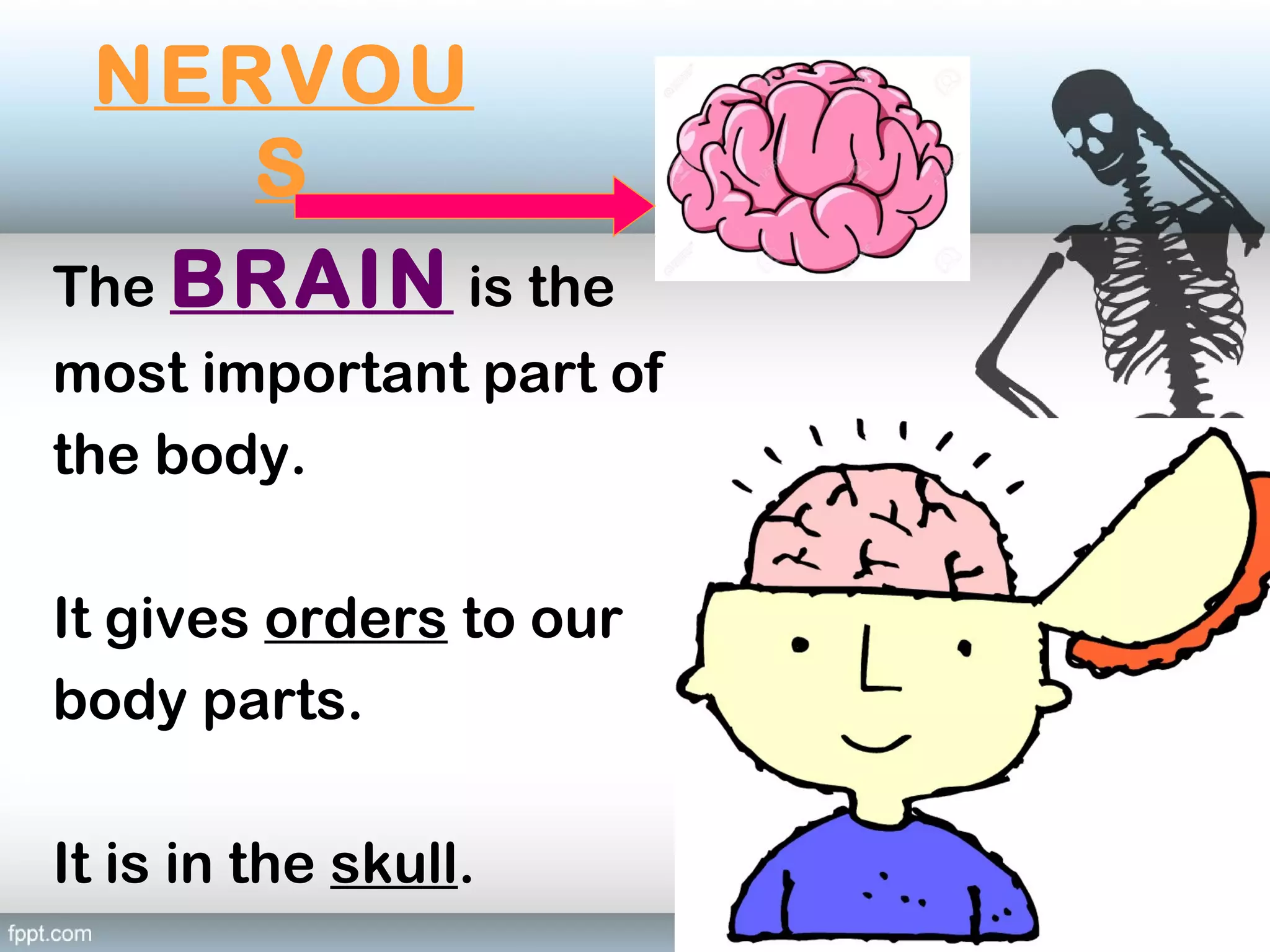 Discovering the human body unit | PPT