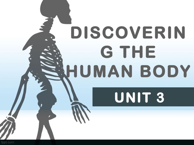 Discovering the human body unit | PPT