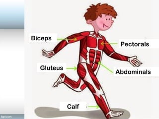 Discovering the human body unit | PPT | Lung and Respiratory Health ...