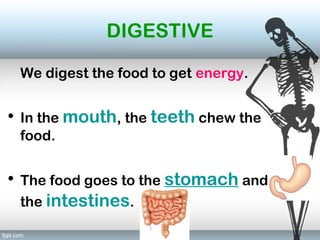 Discovering the human body unit | PPT
