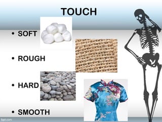 Discovering the human body unit | PPT