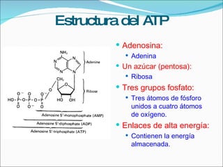 control de actividades celulares | PPT