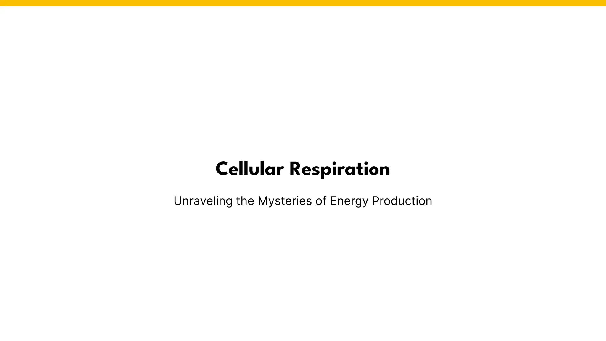 Cellular Respiration High School Biology Level | PDF