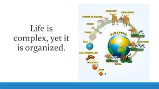 u3l3-150801160555-lva1-app6892.pptx