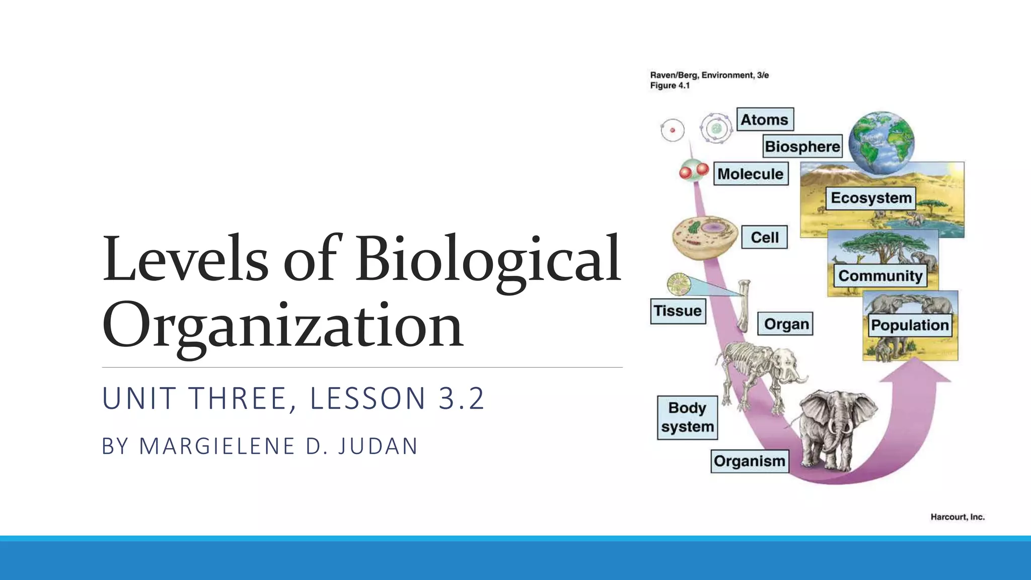 Unit 3, Lesson 3.2 - Levels of Biological Organization | PPTX