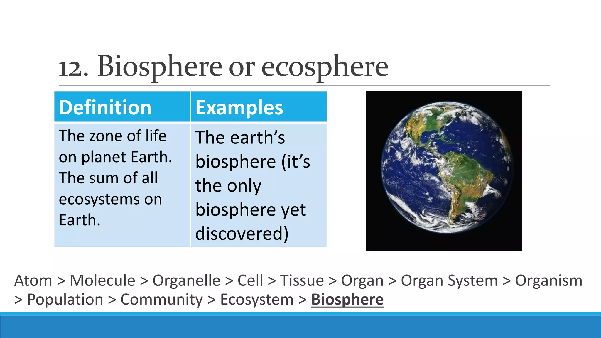 Unit 3, Lesson 3.2 - Levels of Biological Organization | PPTX