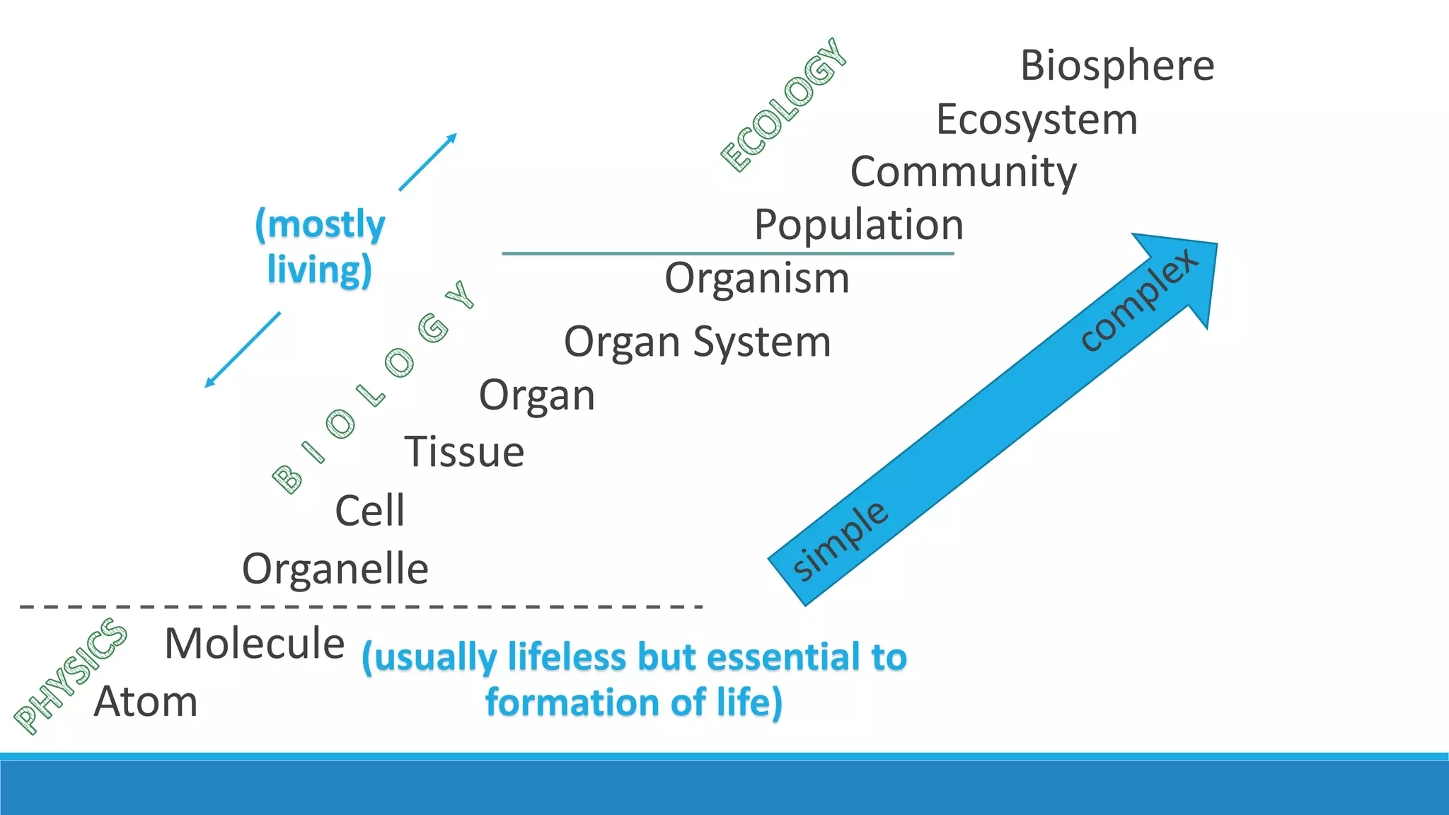 Unit 3, Lesson 3.2 - Levels of Biological Organization | PPTX